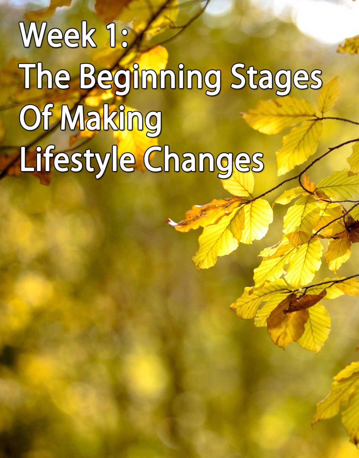 Week 1: The Beginning Stages Of Making Lifestyle Changes